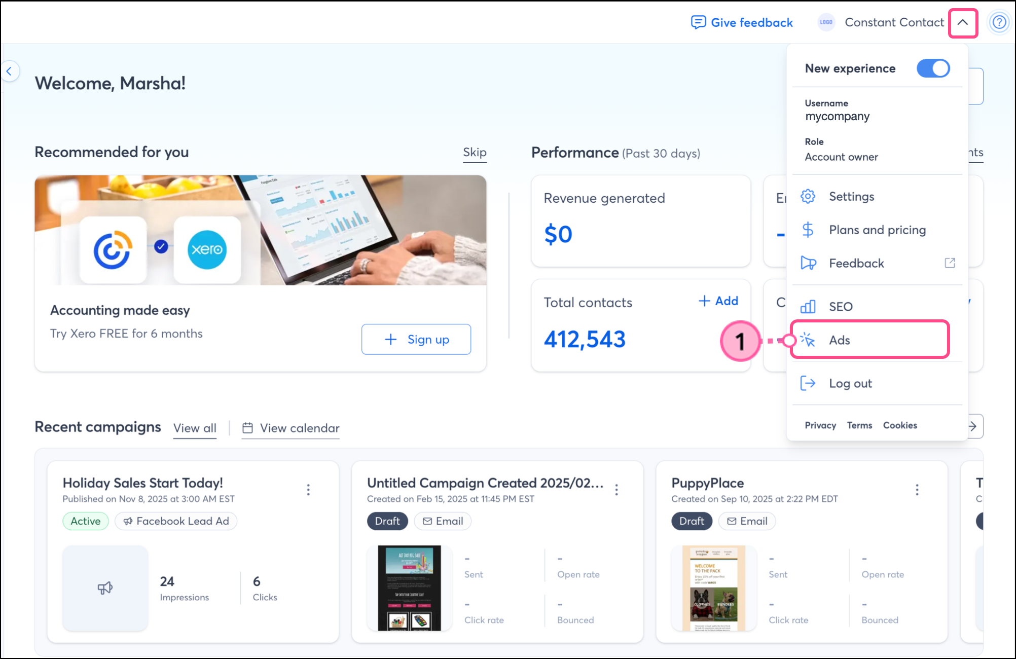 Edit an active Facebook and Instagram Ad or Lead Ad
